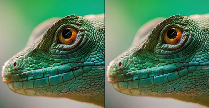 Upscale your photo without losing any quality by Easy_proofing | Fiverr