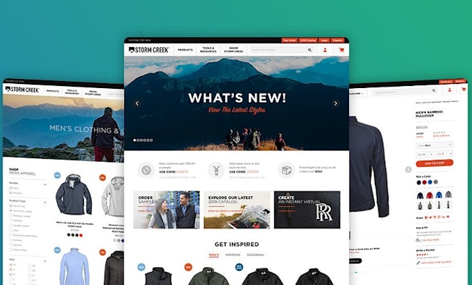 Build, develop, update, fix, and customize your ecommerce website by ...
