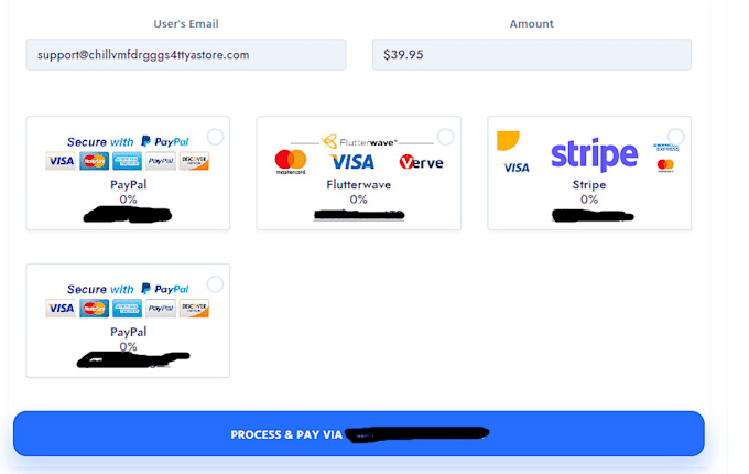 Help you accept payments instantly even if your business is high risk ...