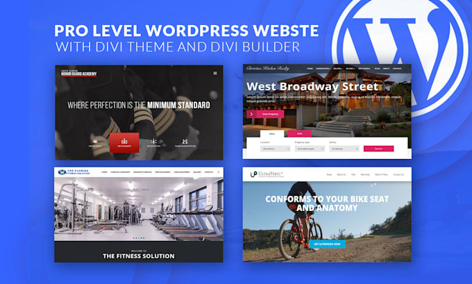 Design and develop pro level wordpress website with divi theme and divi ...