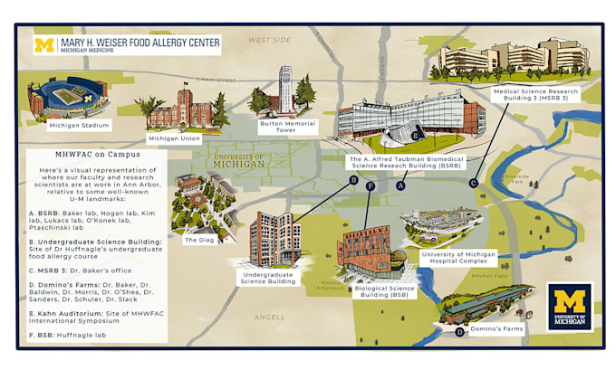 Create a bespoke illustrated map by Natalieatkins | Fiverr