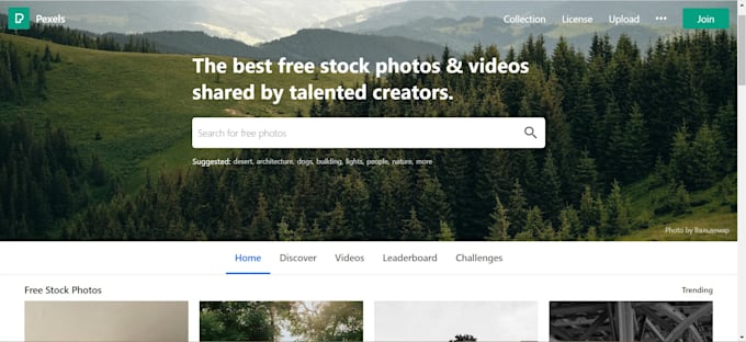 Create a responsive website using react and typescript by Aplefull | Fiverr Create a responsive website using react and typescript by Aplefull | Fiverr