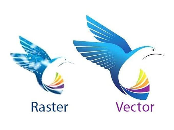 Convert your raster image into vector high resolution by Syedhassan548 ...