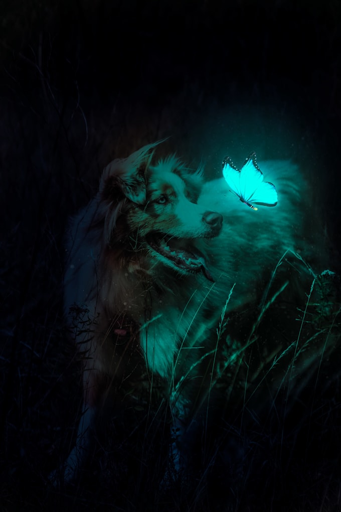 Composition with your portrait with the addition of many effects, photo ...