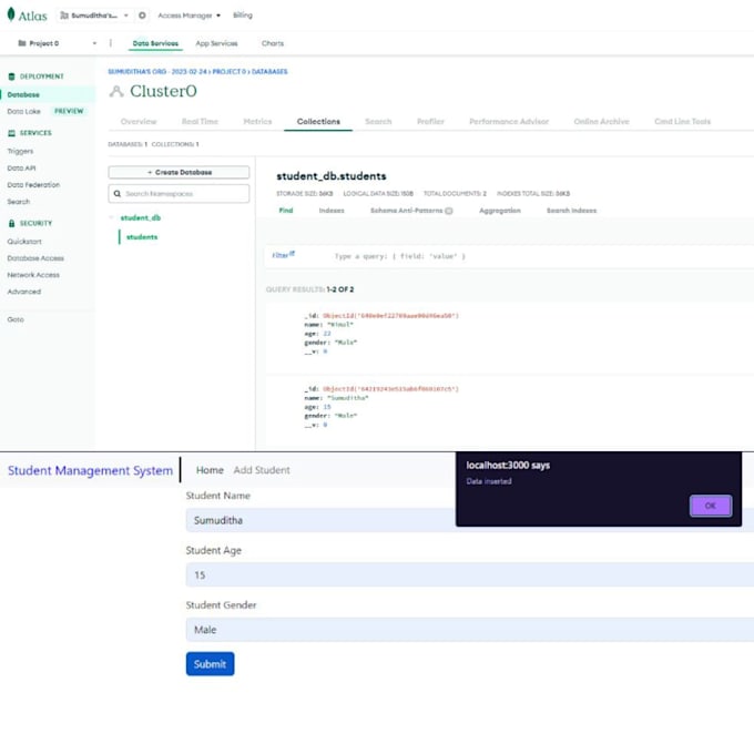 Create a custom crud web app using mern stack by Lanzknight | Fiverr Create a custom crud web app using mern stack by Lanzknight | Fiverr