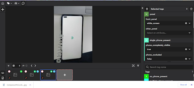 Do image annotation,segmention,bounding box,data entry by Selim232 | Fiverr