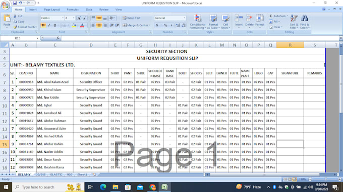 Do professional data entry, web research, data mining, excel, copy ...
