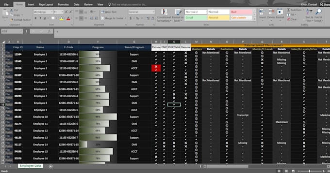 Give excellent excel service, formulas, formatting, dashboard, cleaning ...