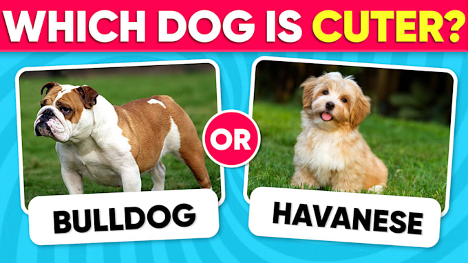 Create trivia youtube thumbnail for quiz trivia videos by Tanveerfaeem ...