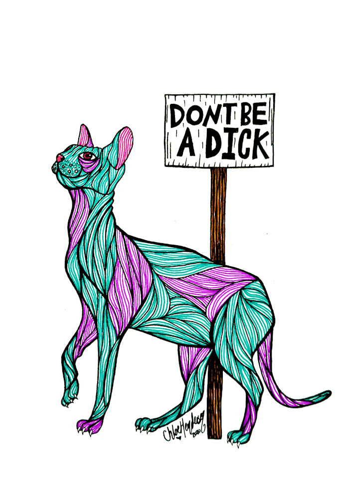 Illustrate a custom rude cat portrait by Seaslugchloe | Fiverr