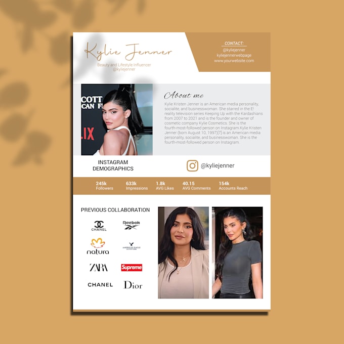 Create a media kit for an influencer, artist, or blogger by Imxpgd | Fiverr