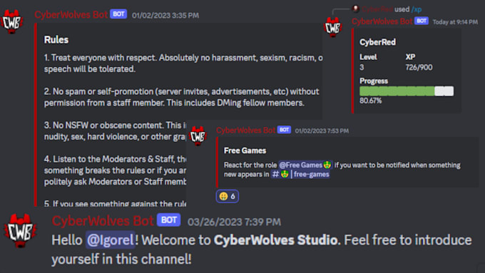 Create a discord bot customized for your server by Cyberredro | Fiverr