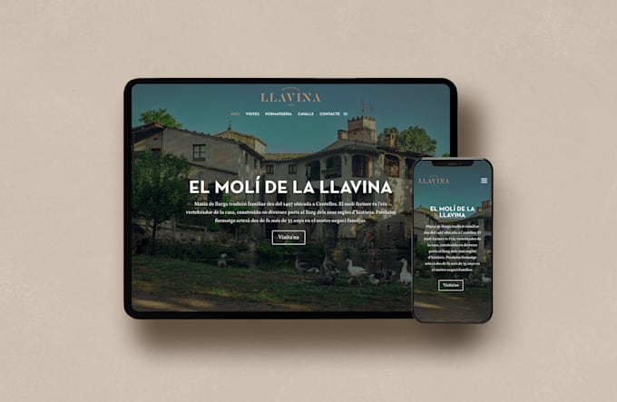 Design a premium wordpress website with oxygen by Mllstudio | Fiverr
