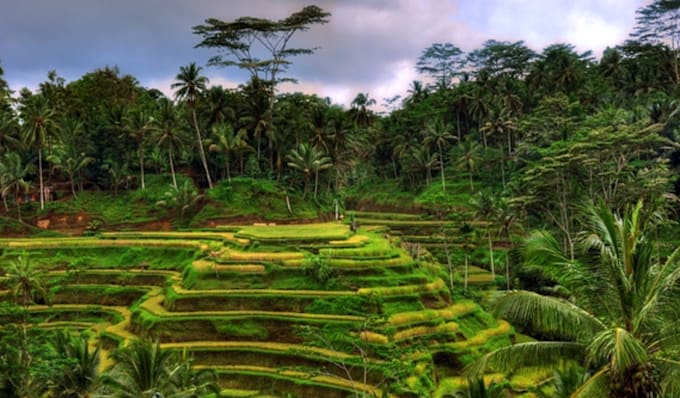 Make your holiday planning to bali easy by Nastiiuuuuu | Fiverr