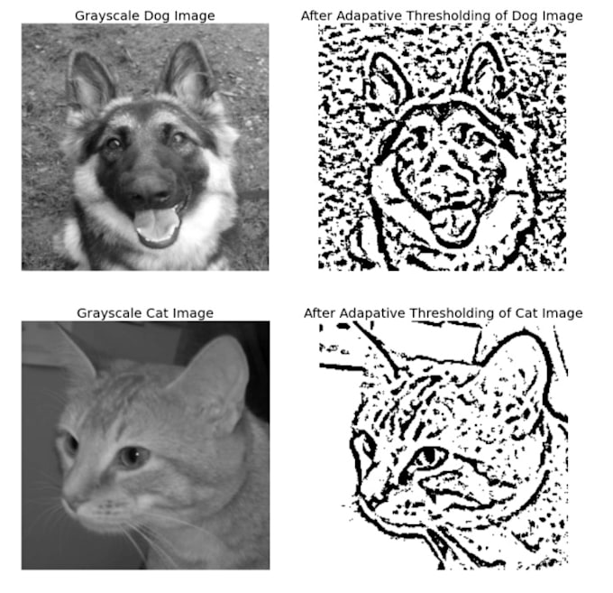 Do Custom Opencv Solutions Image Processing Object Detection Ocr 6751