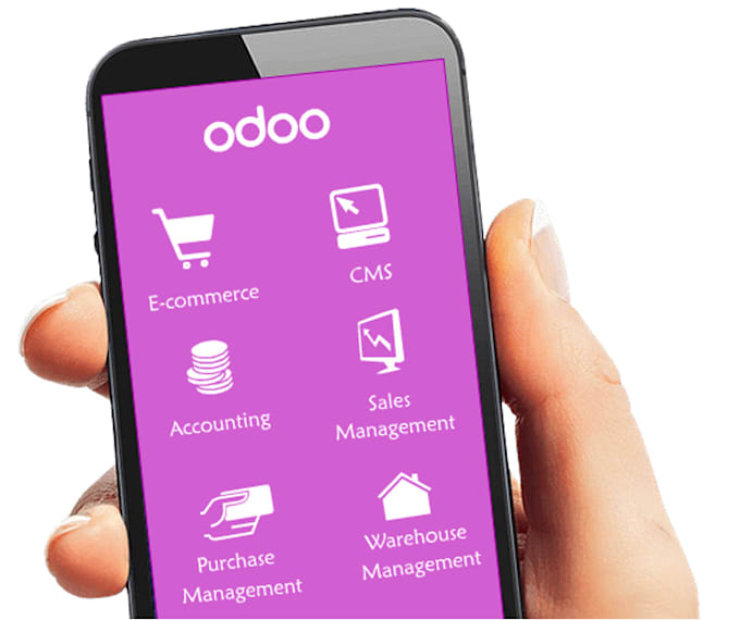 Develop custom ecommerce odoo 16 website with customer and client ...
