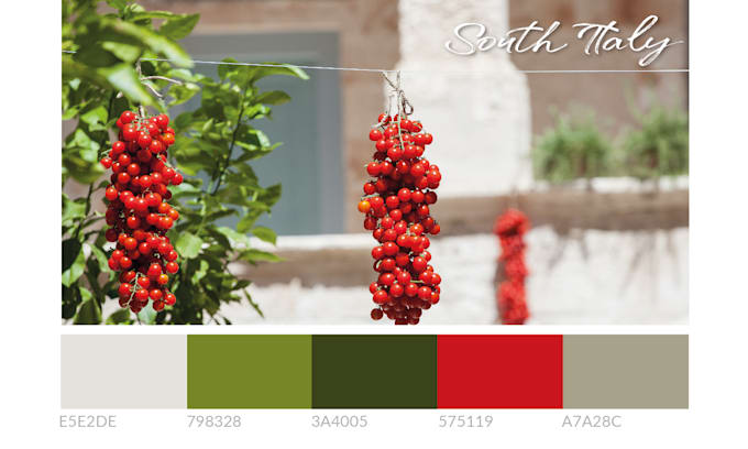 Create for you a unique color palette by Abc_design_you | Fiverr