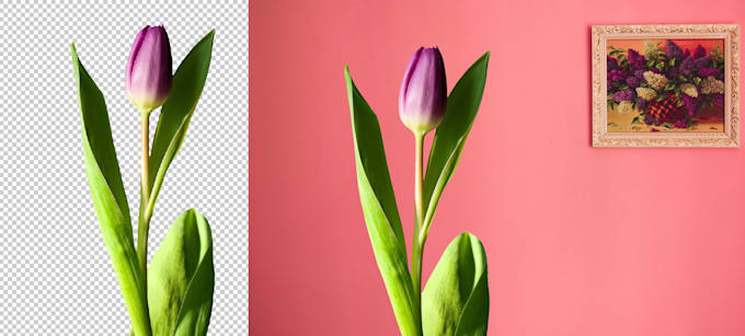 Removeré fondo de imagen, recortaré, cambiaré fondo by Afegaediciones ...