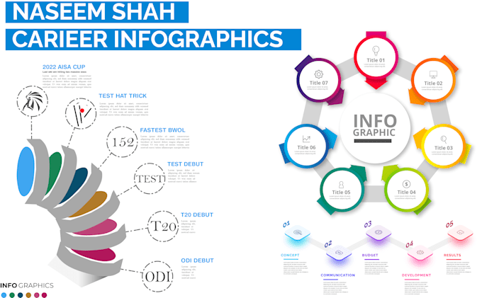 Create professional organizational chart and product infographics by ...