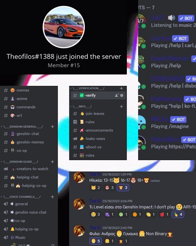 Create a unique discord server in 24hours by Yoloteogamer | Fiverr