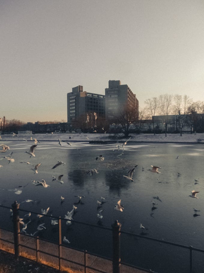 Edit your photos in analog style by Psbberlin | Fiverr