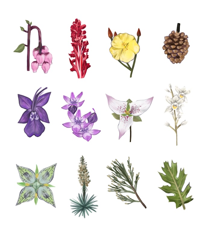 Turn any objects into drawings by Trebeilnahoj | Fiverr Turn any objects into drawings by Trebeilnahoj | Fiverr