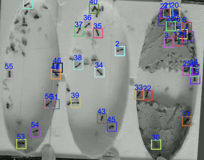 Annotate labels for image segmentation, detection, classification by ... Annotate labels for image segmentation, detection, classification by ...