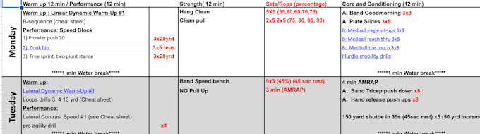 8 week strength and power fully loaded workout plan by C0achsean | Fiverr