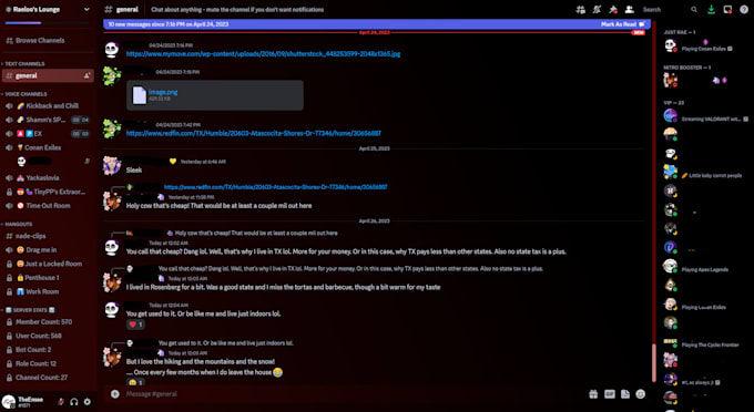 Manage and monitor your discord server by Eencee | Fiverr
