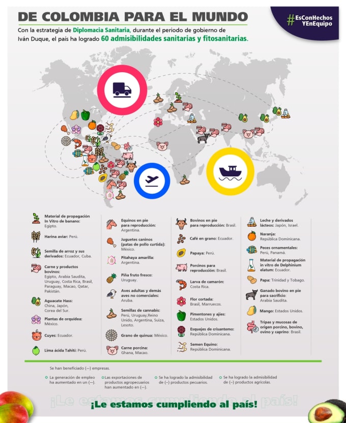 Make stunning, professional and beautiful infographics by Ssangutierrez ...