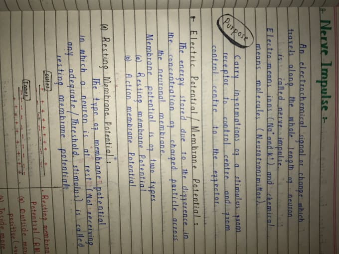 Write anything you want to write by Muhammadtabbish | Fiverr