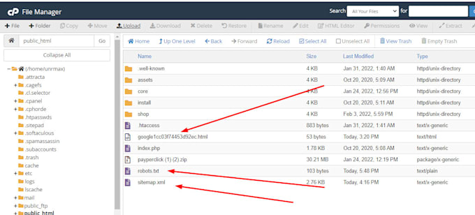 Optimize xml sitemap, robots txt, and index in google by Shohel_2021 | Fiverr