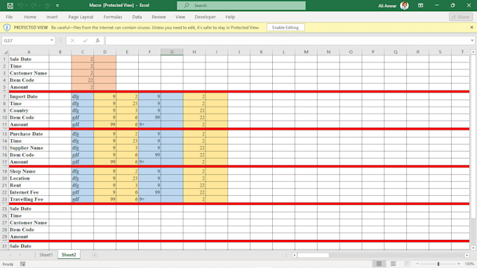 Prepare macro and data entry by Alianwar66 | Fiverr