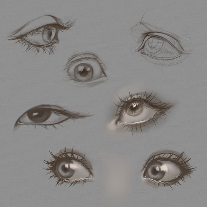 Make anatomy illustrations in realistic style by Graphiklena | Fiverr