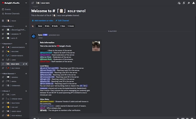 Set up the best custom discord server for any purpose by Judepage | Fiverr