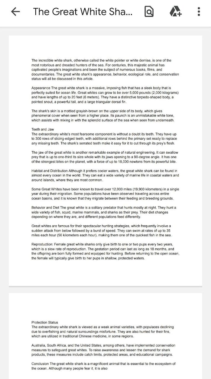 Write 2000 word seo blog posts and articles for you by Athleticnut | Fiverr