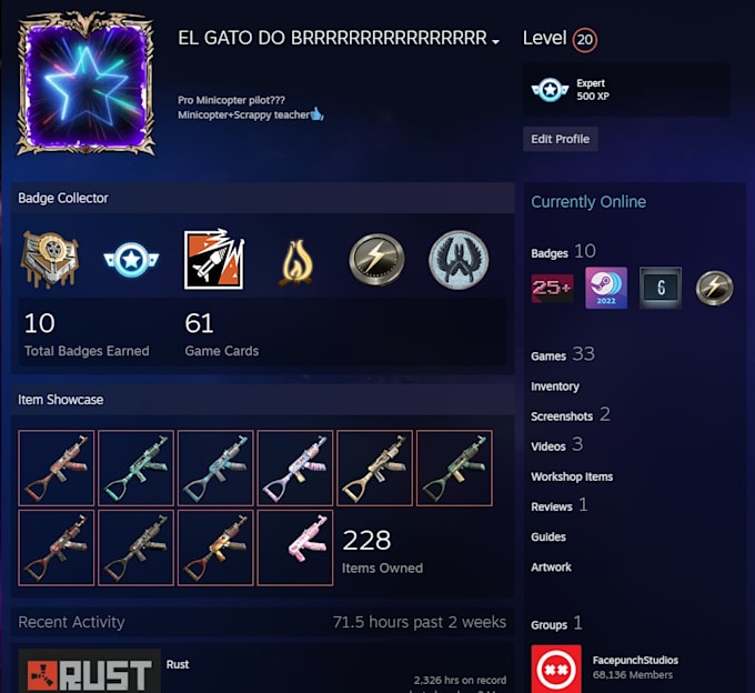 Teach you, how to fly a minicopter in rust by Minicopter | Fiverr