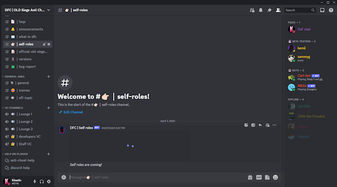 Create a professional discord server by Kinetic_4 | Fiverr