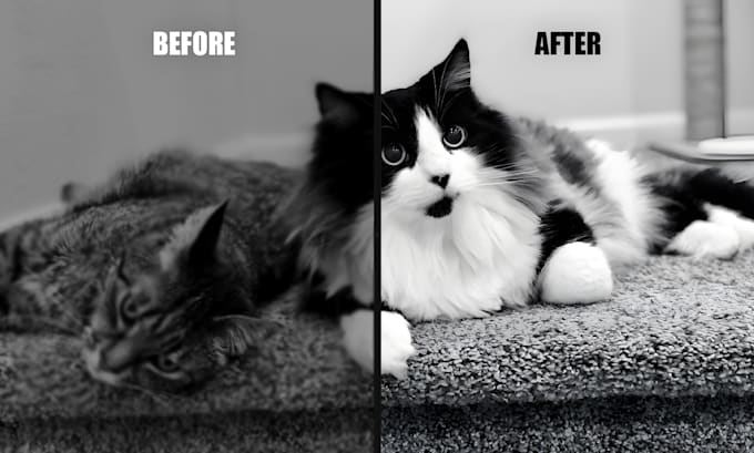 Restore, upscale, enhance, sharpen, and improve photos by ... Restore, upscale, enhance, sharpen, and improve photos by ...