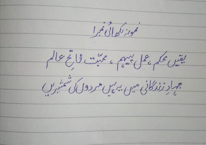 Transcribe your assignments in my beautiful handwriting by Farkhanda101 ...