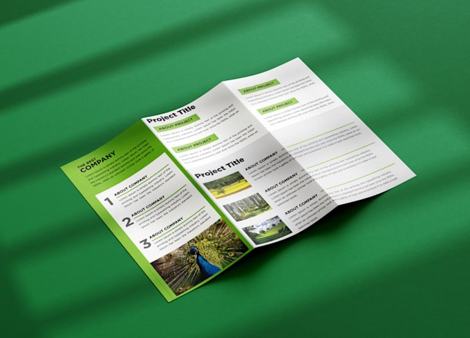 Design a professional multi page tri fold brochure by Ayoubghof | Fiverr