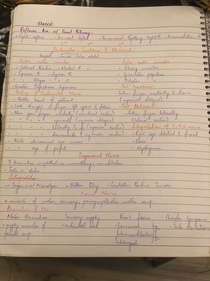 Content writing, handwriting, assignment and research work by Raf017 ...