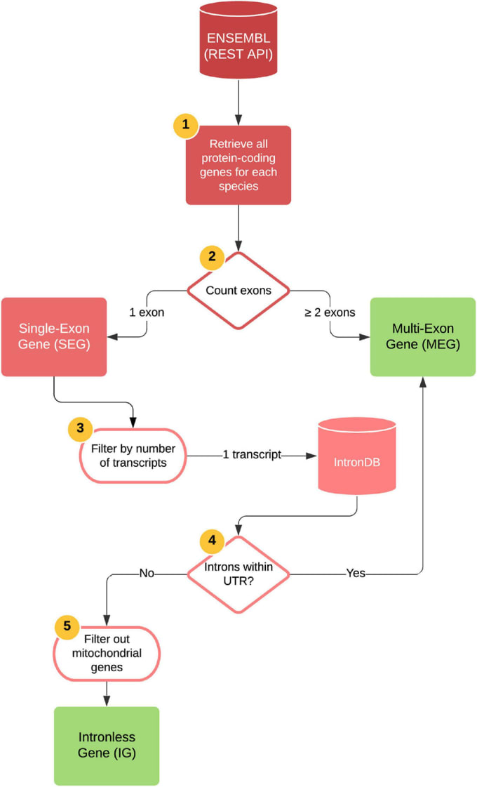 Review, debug, and clean up your technical code in python c cpp js or csharp by Andresioo | Fiverr