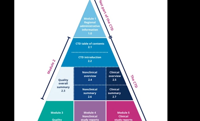 Prepare ctd, actd, and country specific dossier by Rijazia | Fiverr
