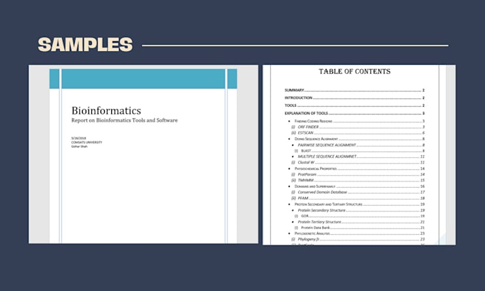 Provide professional project documentation services by Dtrnisar | Fiverr