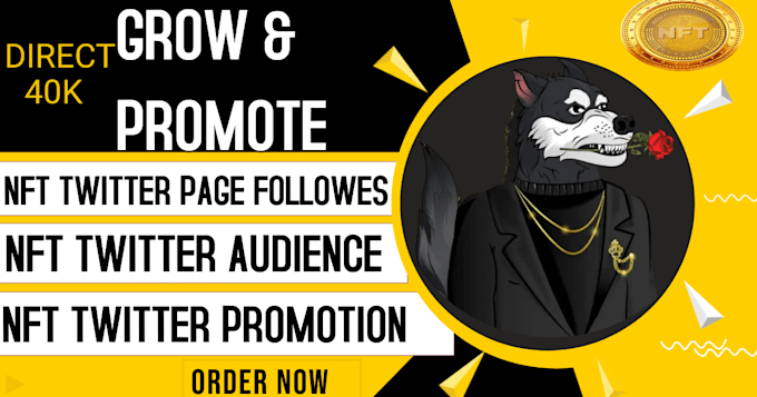 Nft direct 40k dms to promote and grow your nft twitter community by Franluckin | Fiverr