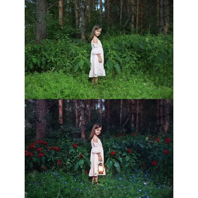 Do photo retouching and color grading in adobe photoshop by Sudheesh1024 | Fiverr