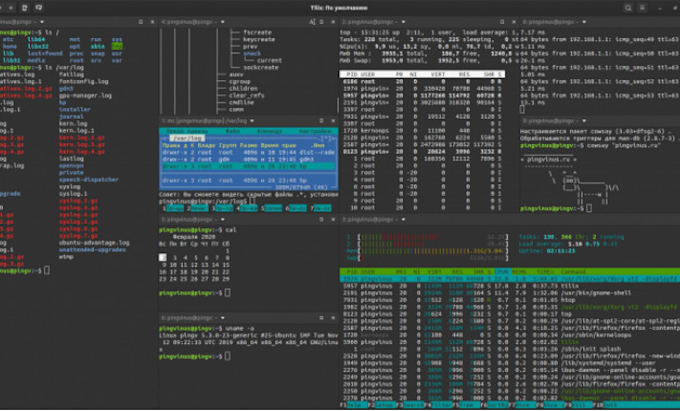 Do kali linux, cyber security tasks by Maliktayyab121 | Fiverr Do kali linux, cyber security tasks by Maliktayyab121 | Fiverr