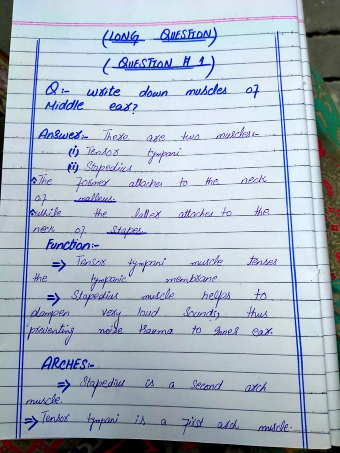 Help you in your assignments writing by Aminamajeed423 | Fiverr