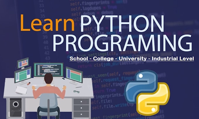 Be your python programming tutor from beginner to expert by Numan101 | Fiverr